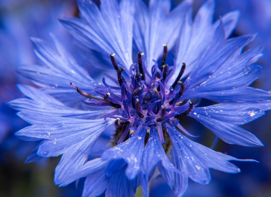 MND awareness - MND Victoria